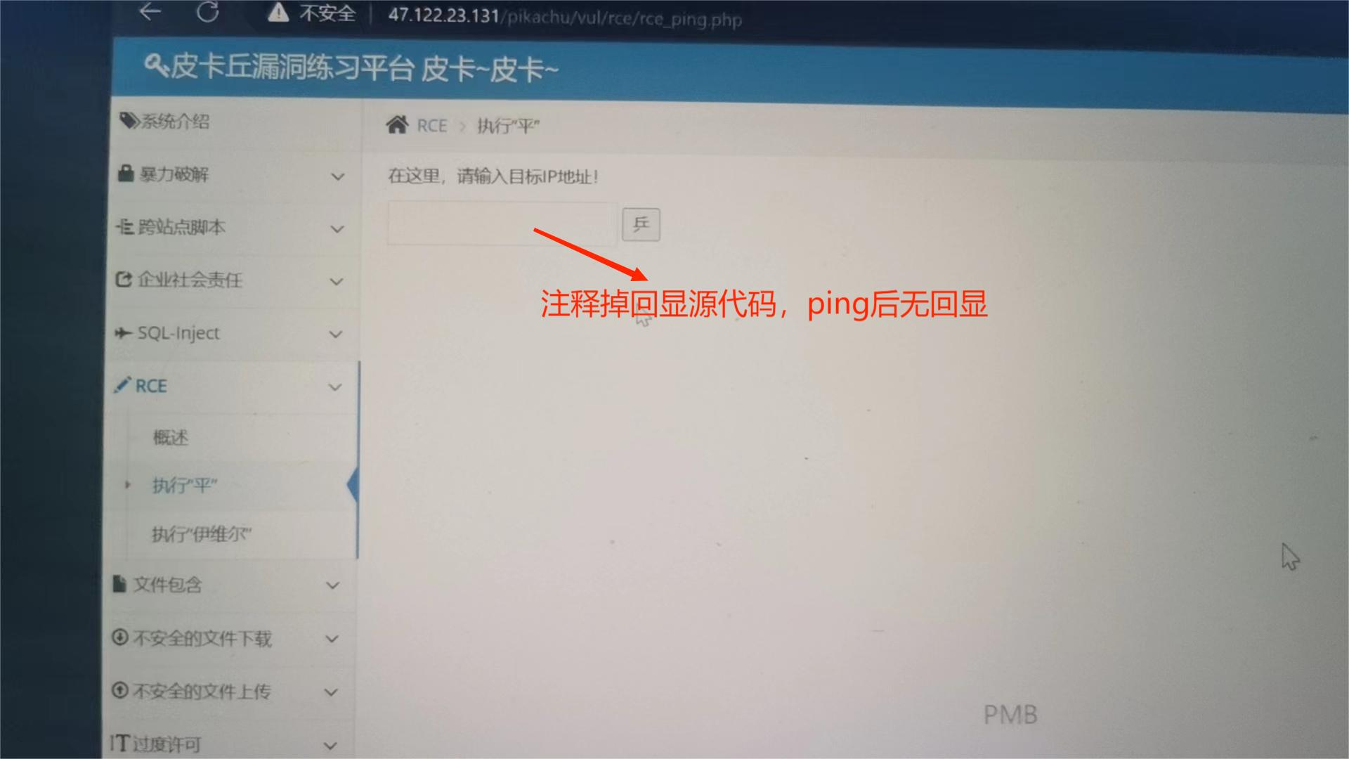05基础命令&反弹shell&数据不回显带外查询 | DU-玉
